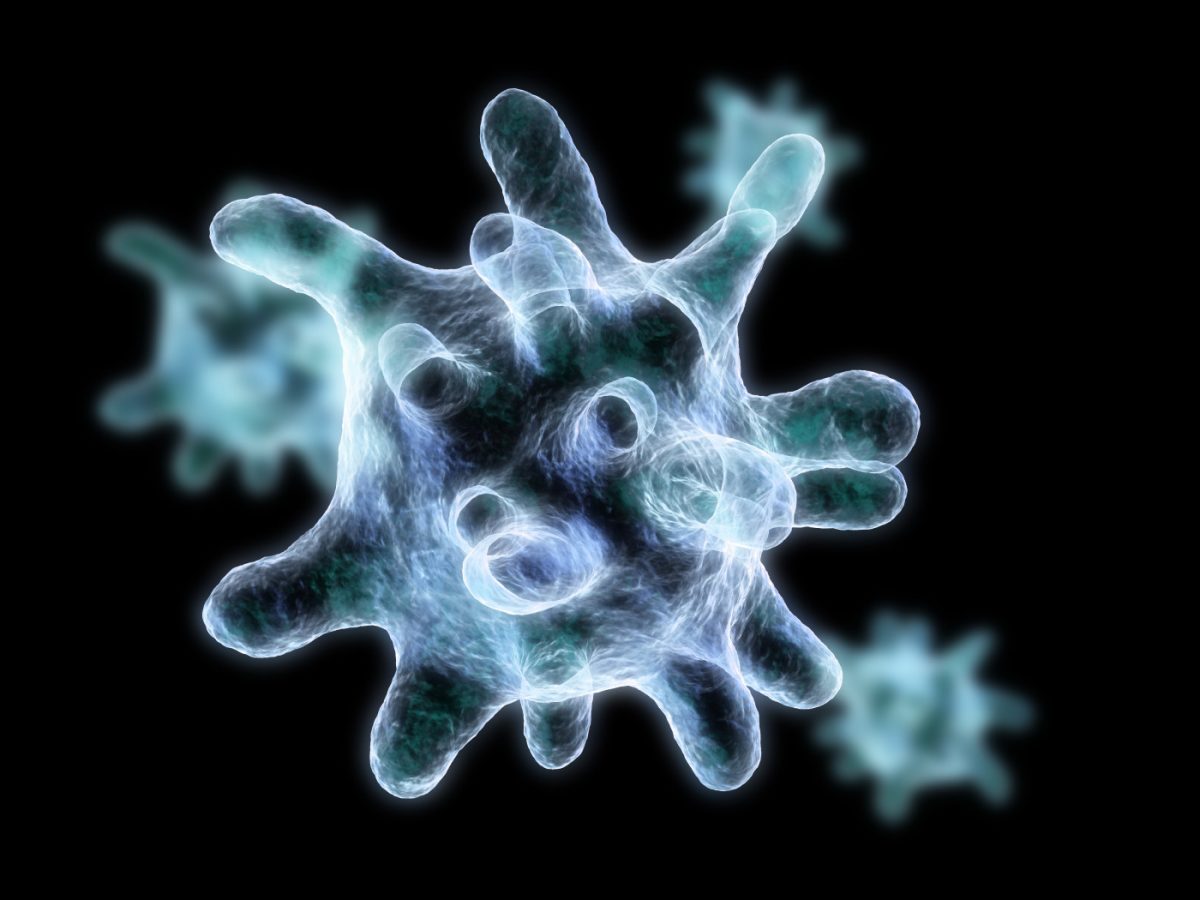 Acute Viral Infections May Lead to COPD via Sentinel Immune Cells